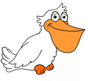 Jak narysować pelikana krok po kroku. Rysowanie pelikana